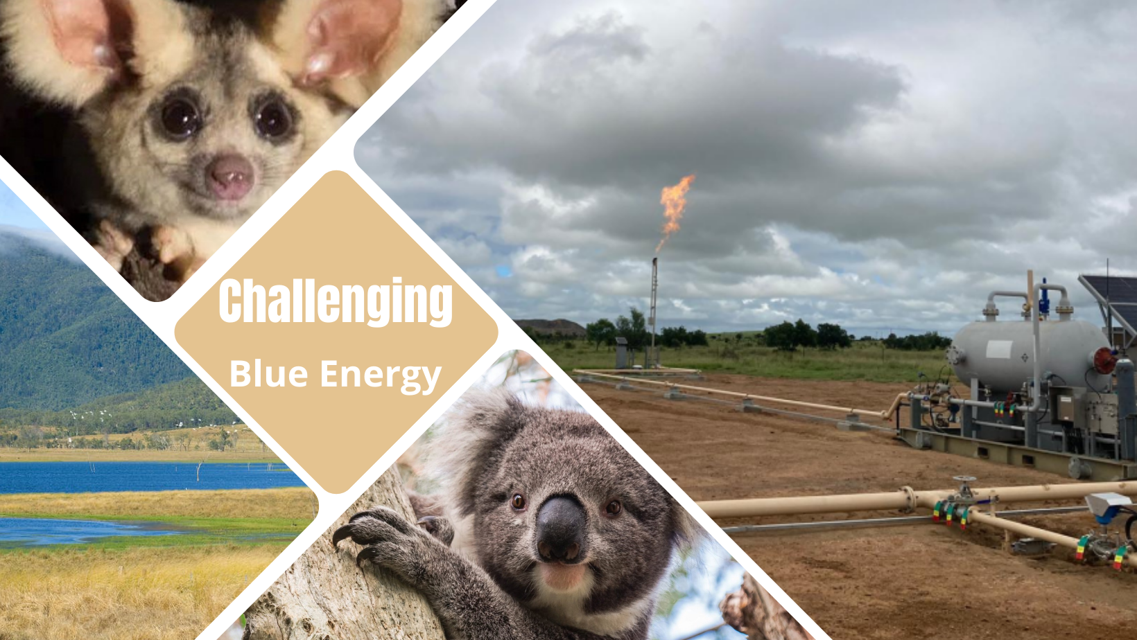 EnvA takes legal action to overturn the approval of Blue Energy’s Bowen ...