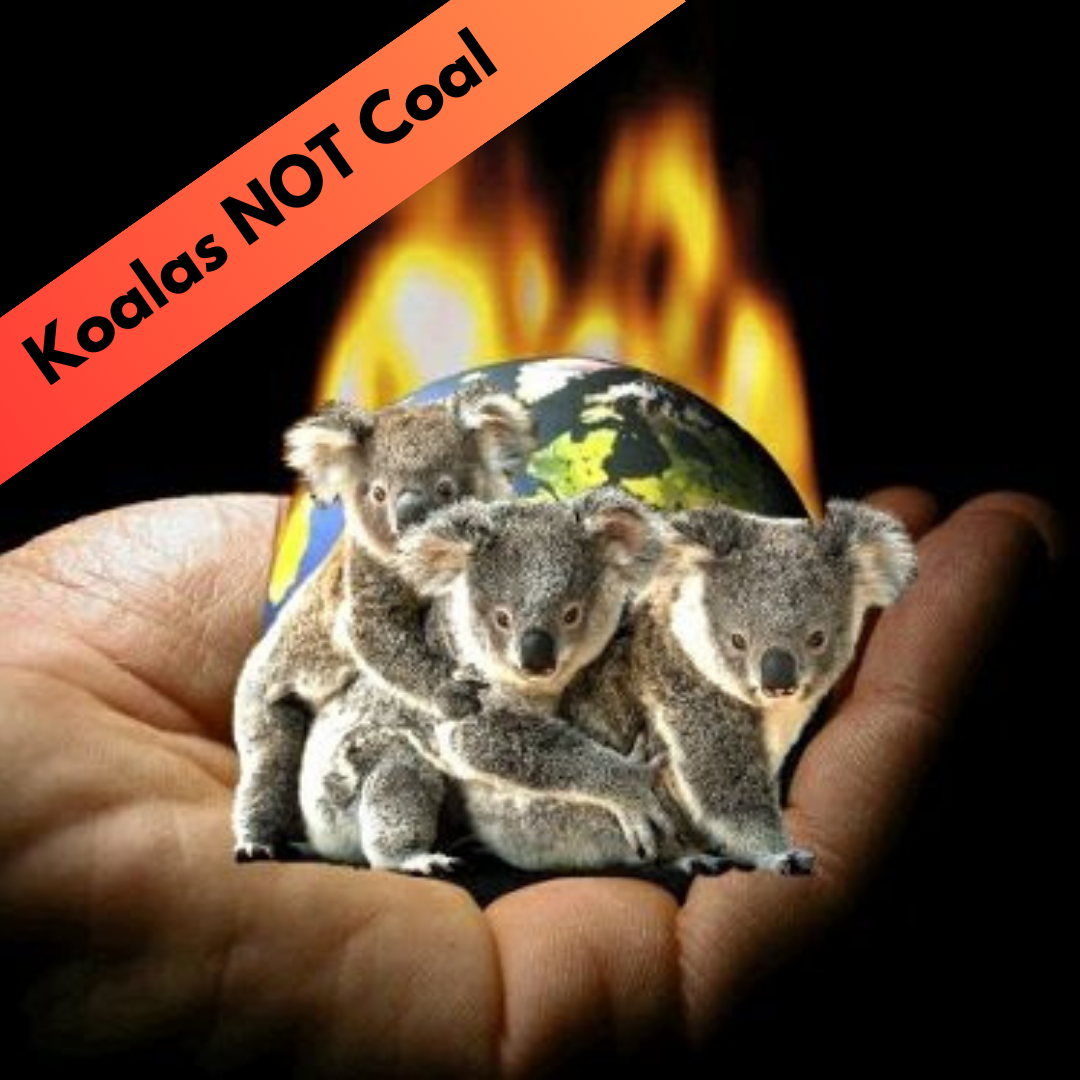 Koalas not coal – EnvA – CQ