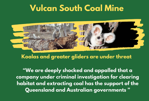 Koalas and greater gliders under serious threat from the approval of ...