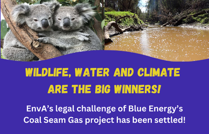 Wildlife and water are big winners in settlement of Blue Energy gas ...