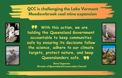 Queensland Conservation Council launches a legal challenge against the ...