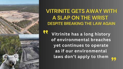 EnvA slams weak federal response to illegal clearing at Vitrinite’s ...
